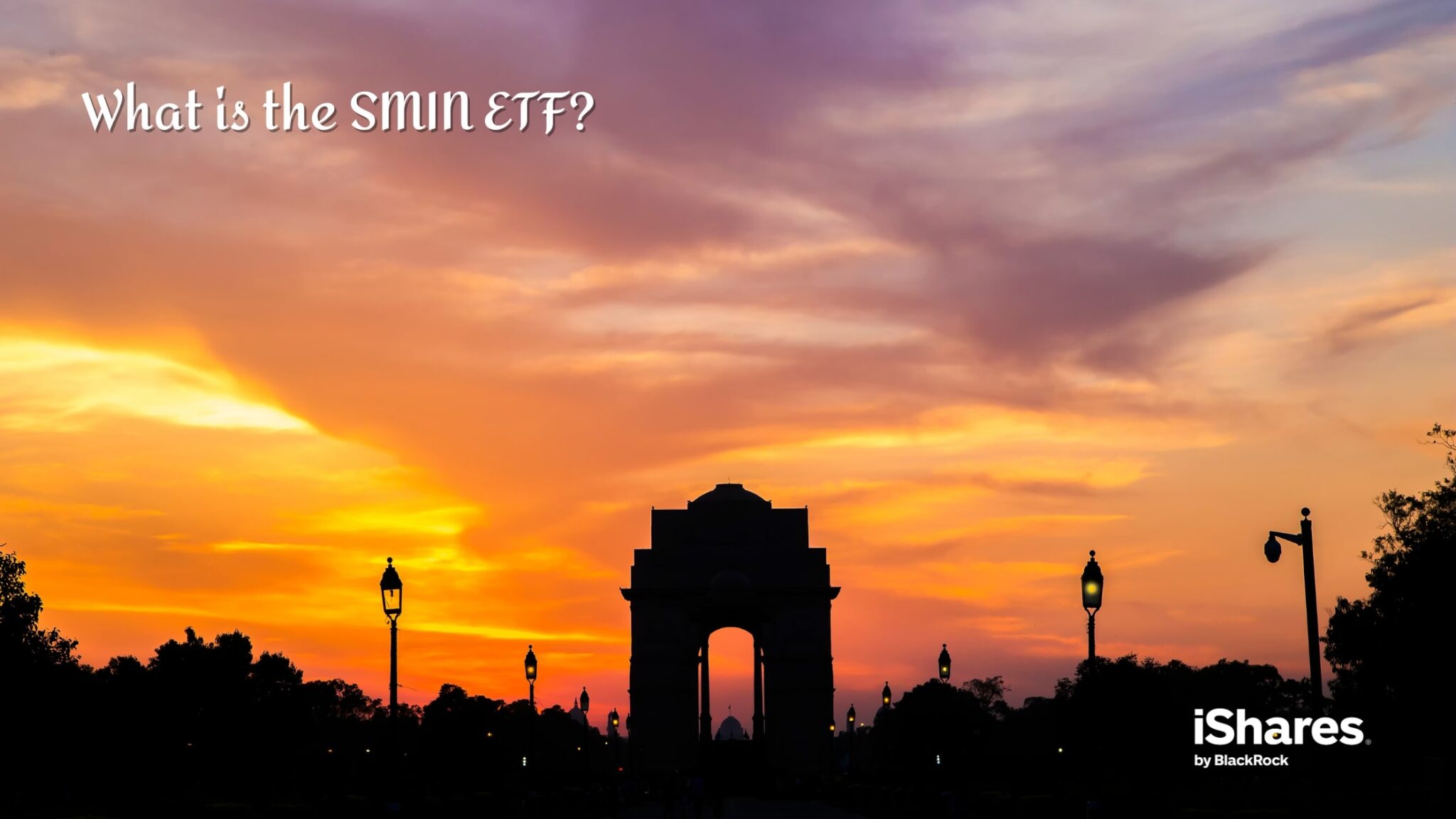 【インドETF】インドの小型株に投資できるETFのSMINとは？ | 旅リーマンどっとこむ